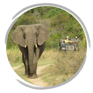 Tour operators in South Africa | VS Travel and Tours